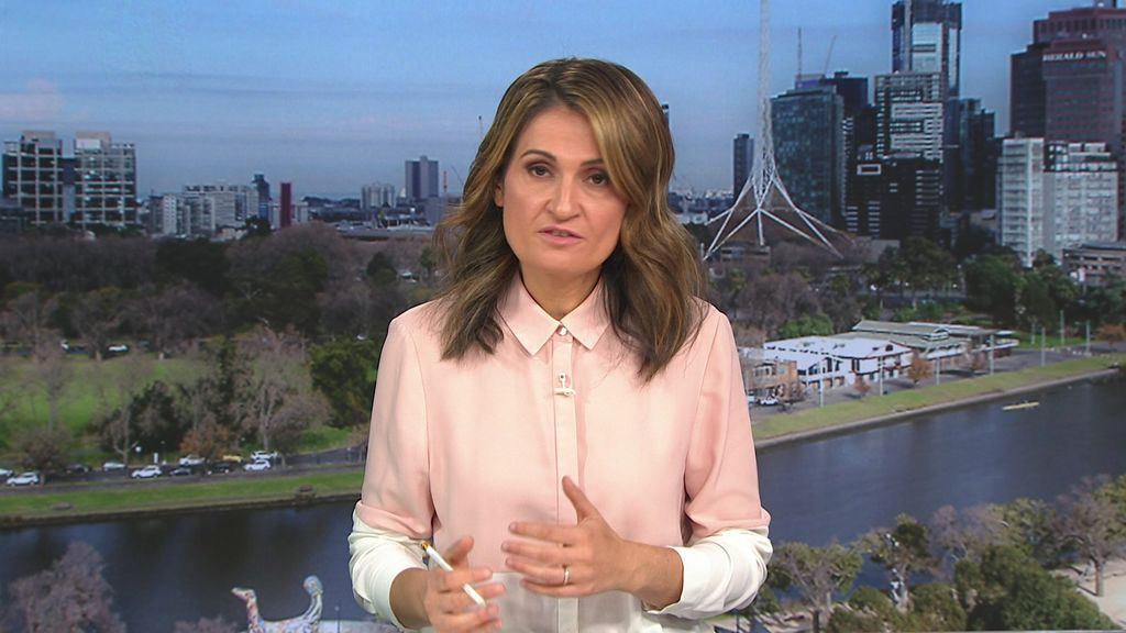 The new cabinet includes a number of experienced ministers - ABC News