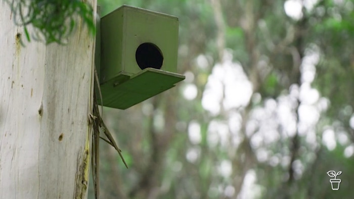 Top Tip: Biodiversity - Gardening Australia