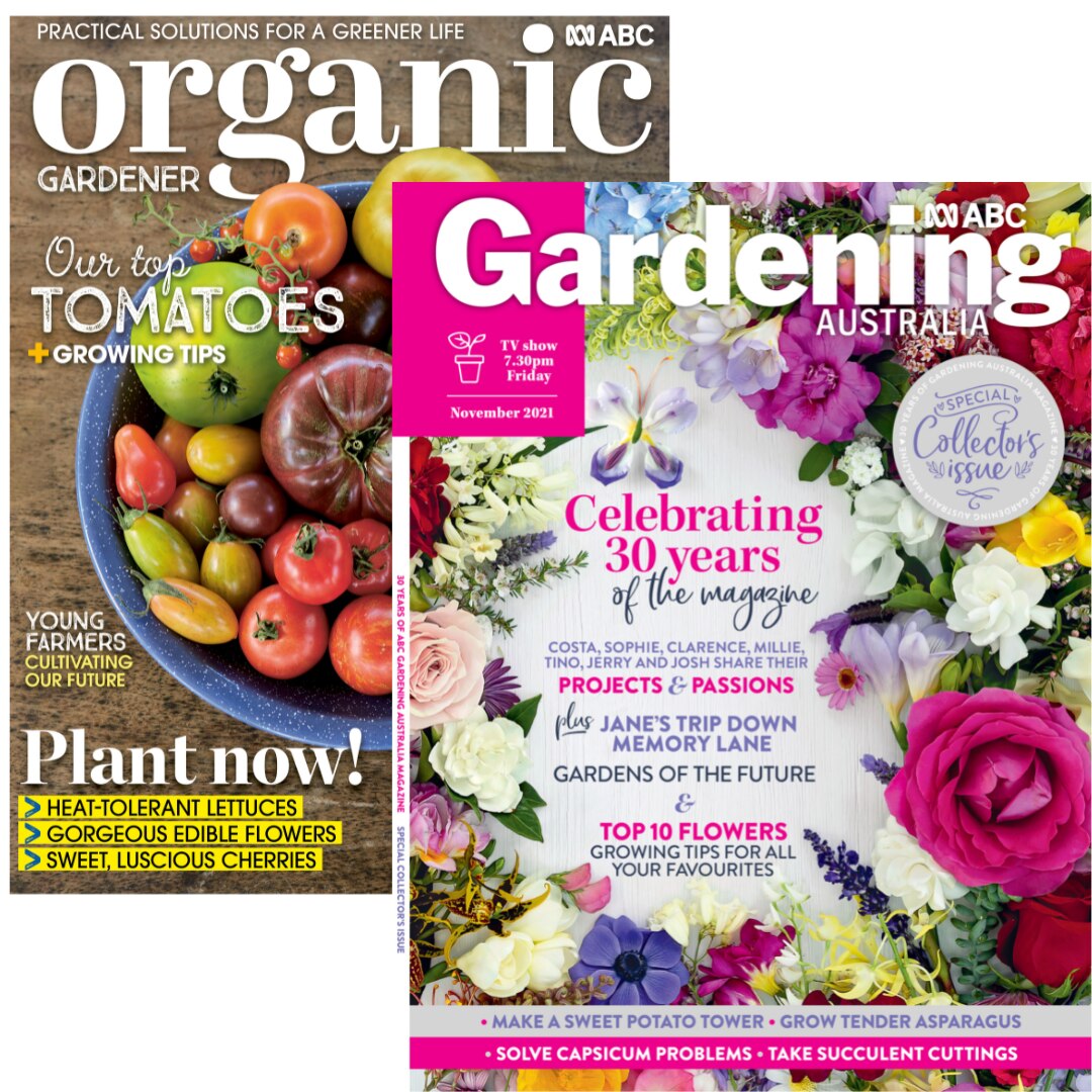 Magazines - ABC Shop