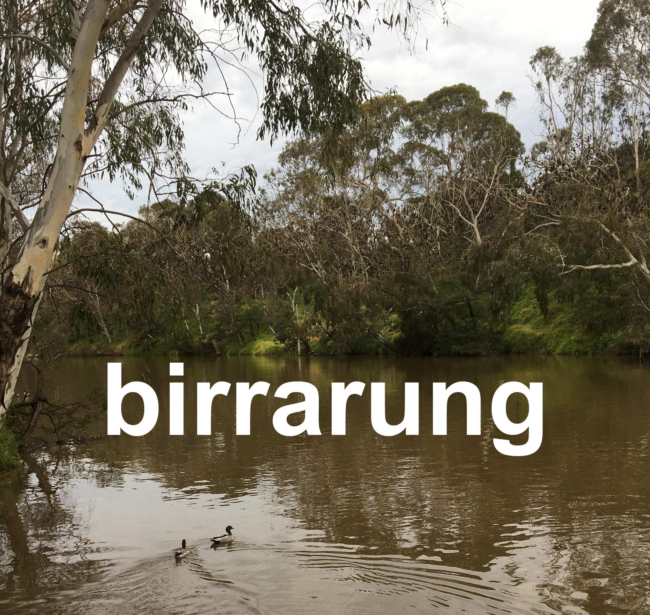 Decoding Aboriginal sign languages - ABC Radio National