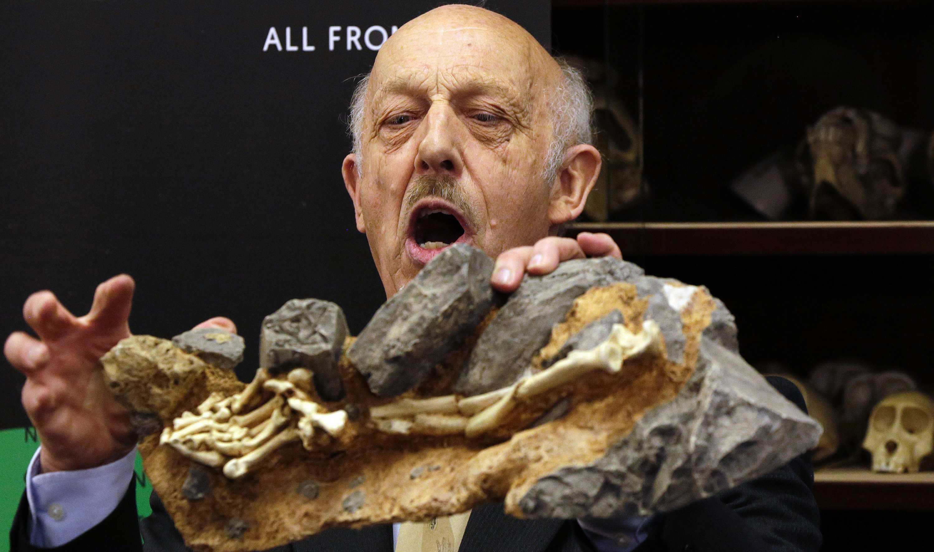 Little Foot: Skeleton of 3.6-million-year-old human ancestor unveiled ...
