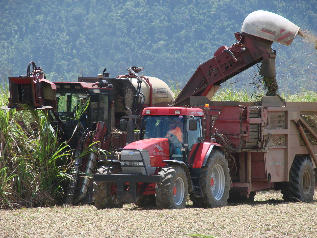 Chopper cane harvesters turn 50 - ABC News