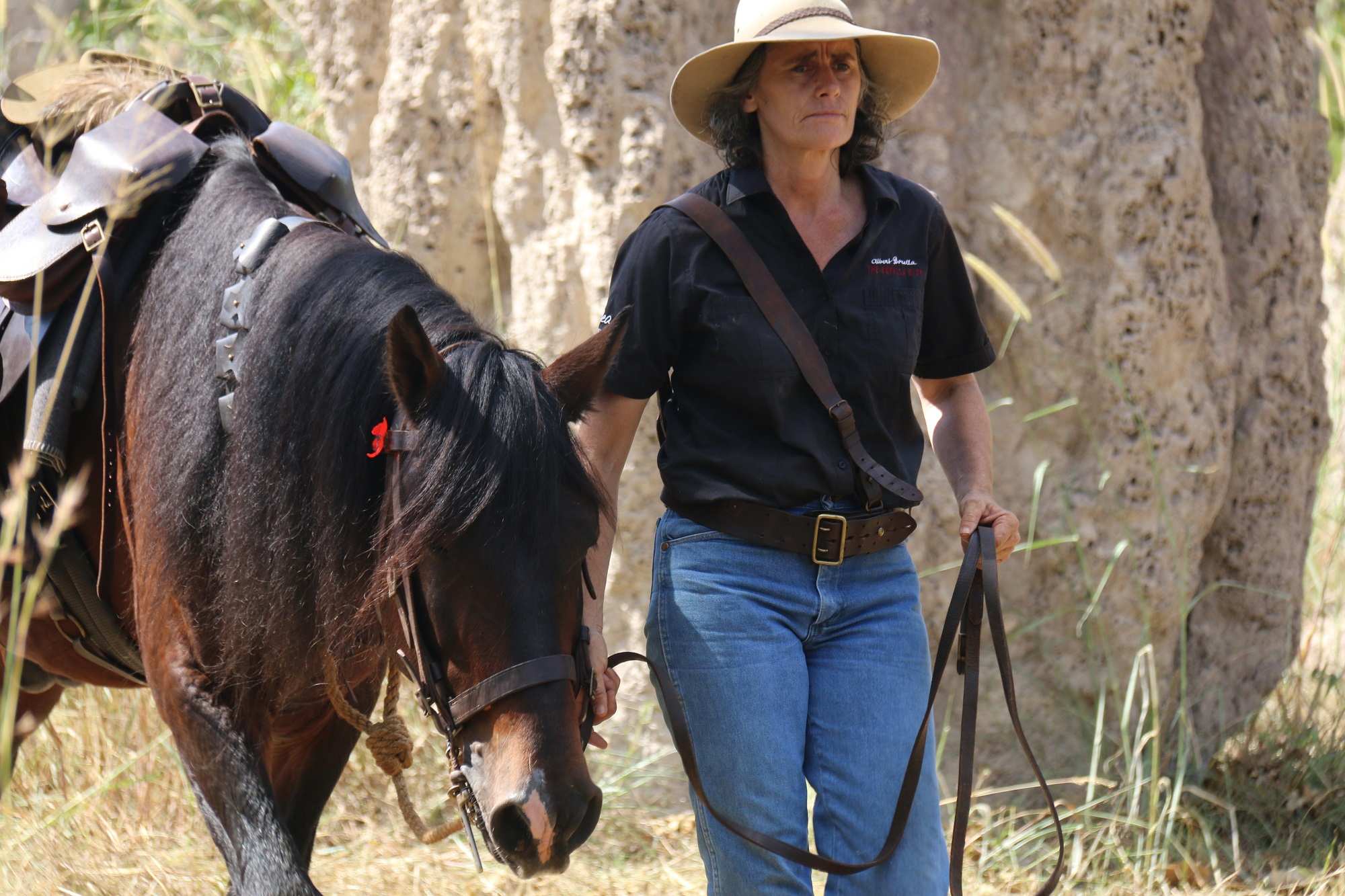 Anzac Day 2016: Sombre march for Noble Comrade, Darwin's own Waler ...