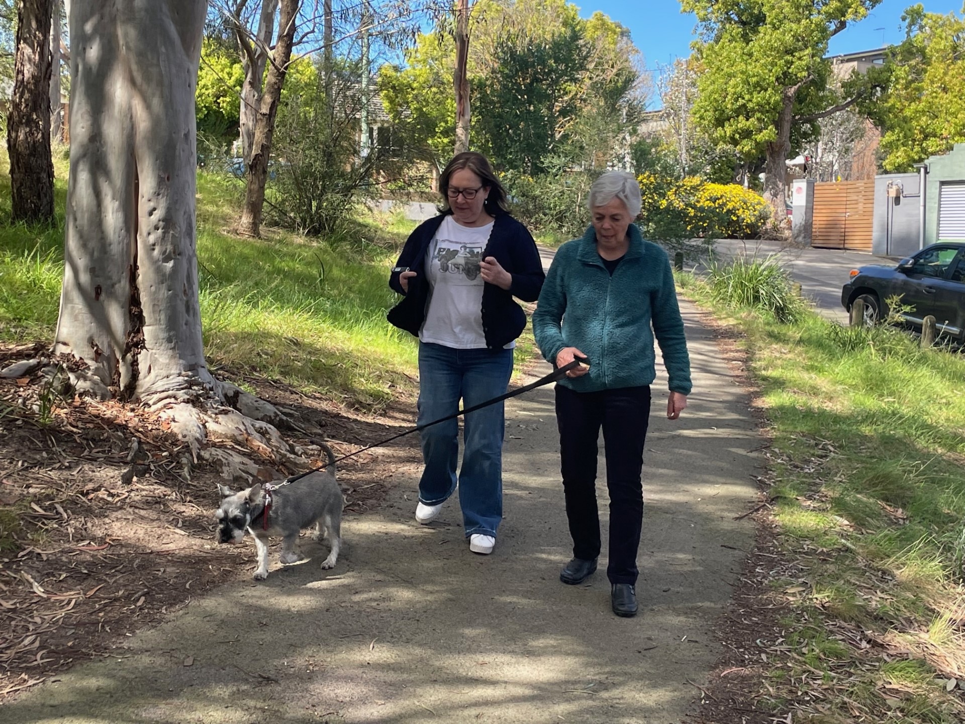 Lyn wants her bank to refund the $50,000 she lost in a scam, money she ...