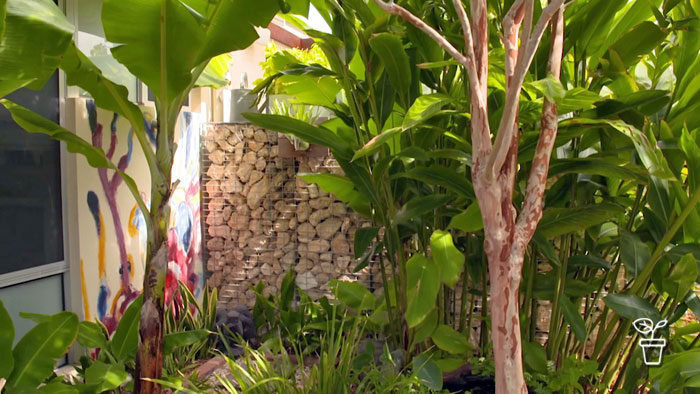 Dry Shade Design - Gardening Australia