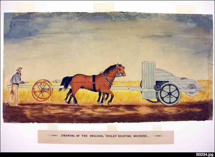 Stump jump plough, goon sacks, Ridley harvester among SA inventions ...