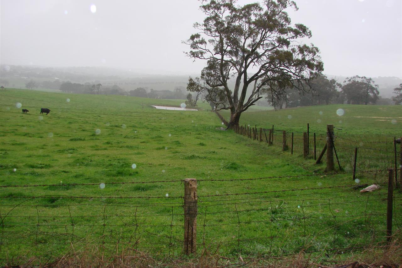 Western Australia braces for unseasonal cold spring weather as front ...