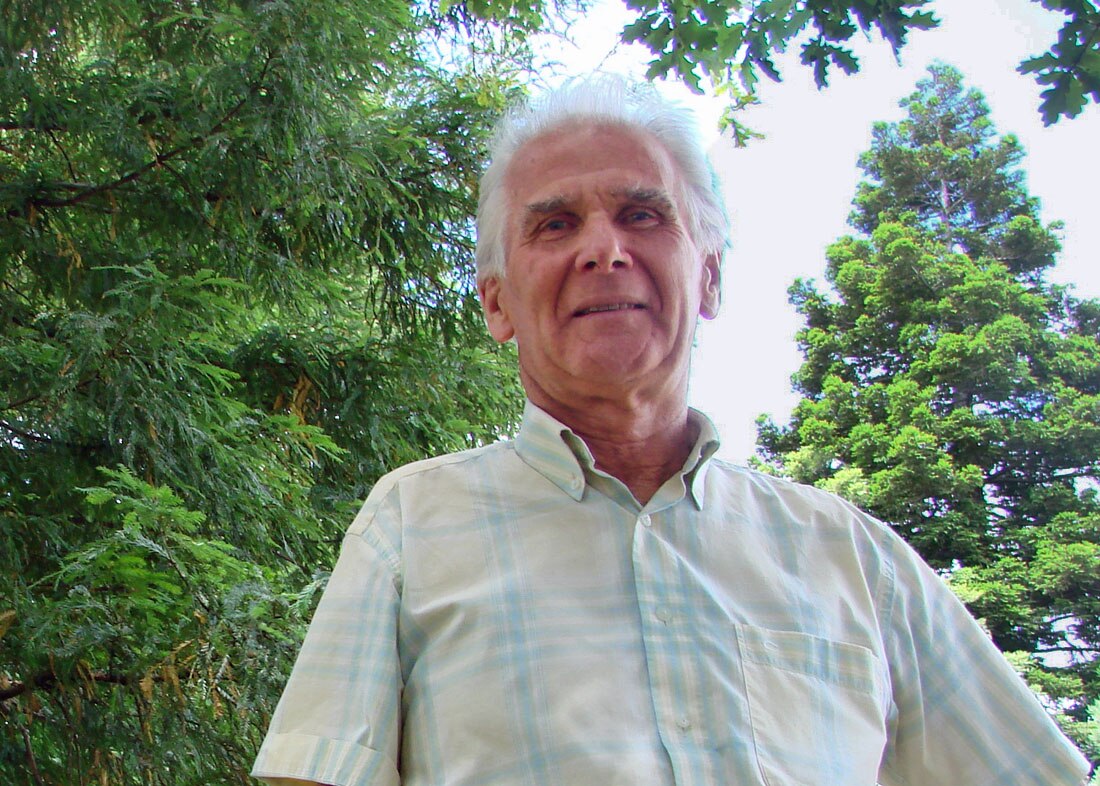 Poppy processors shelve plans to expand production - ABC News