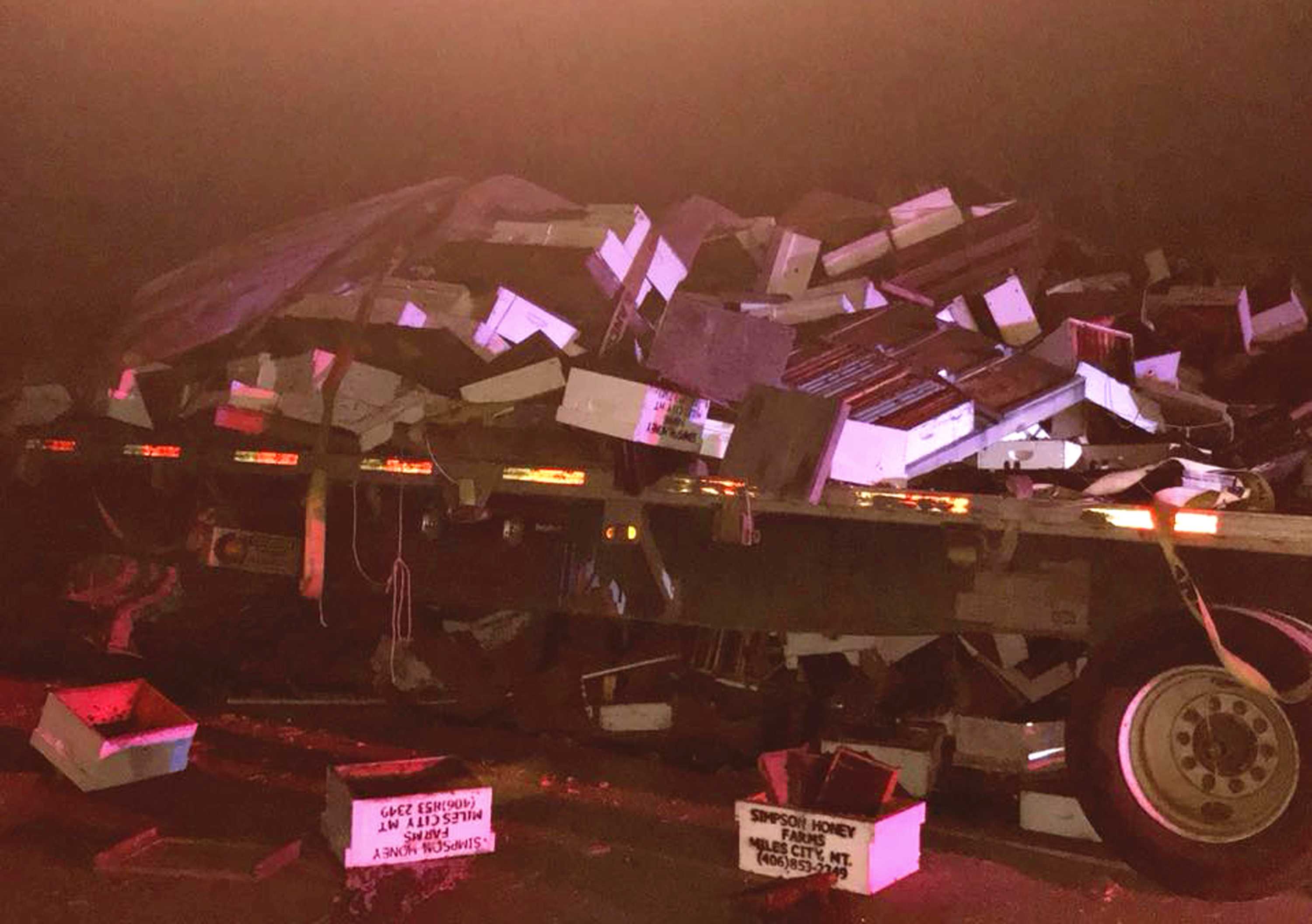 1 million bees killed after truck crash in Northern California - ABC News