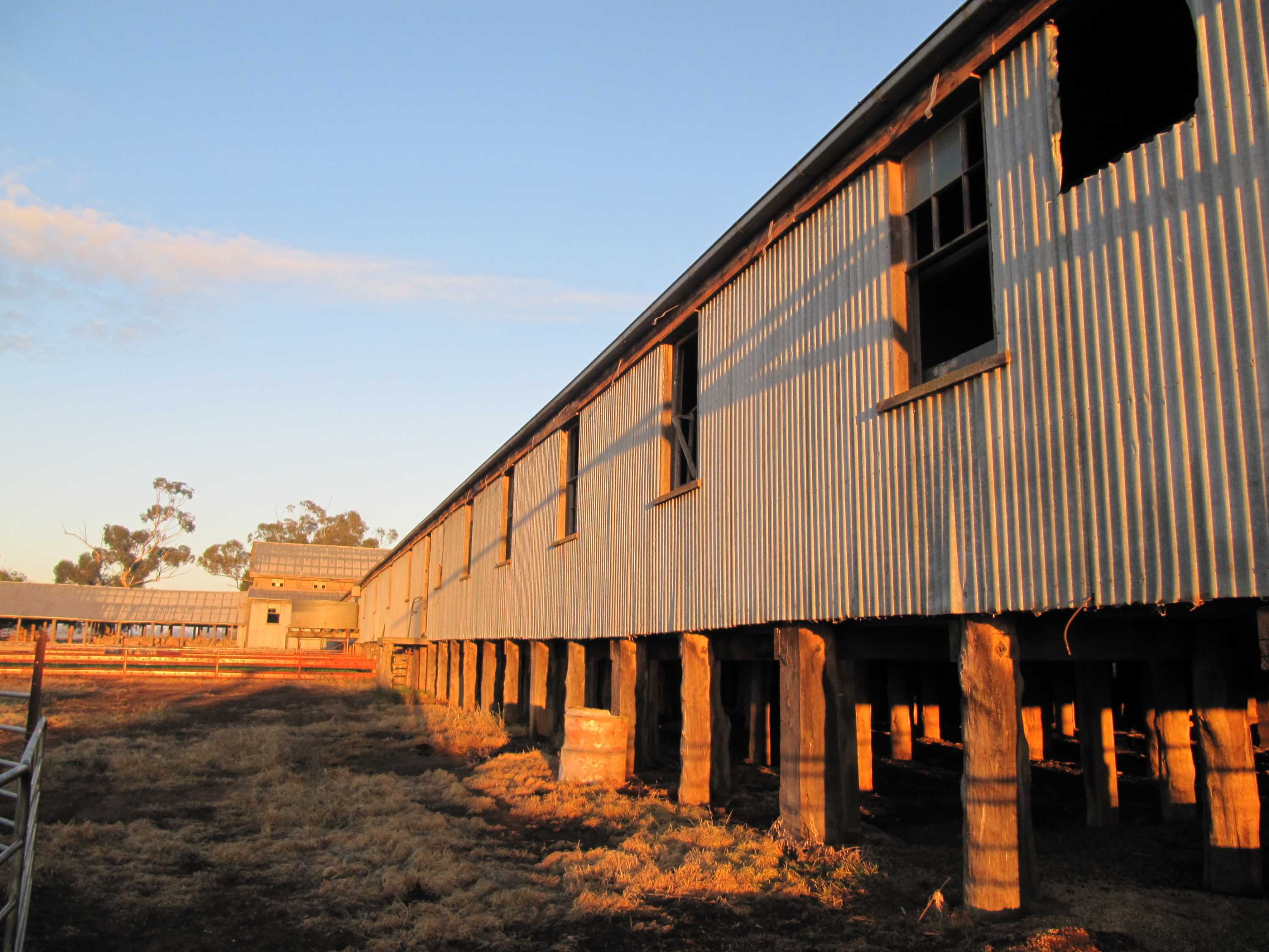 Tuppal woolshed stands the test of time - ABC News