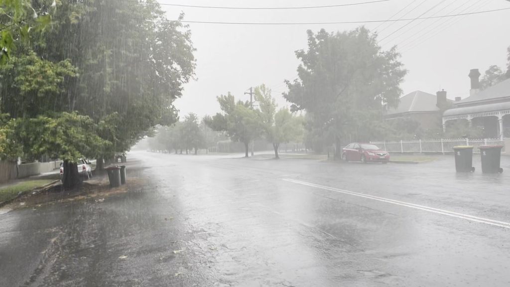 Video of Orange rain - ABC News