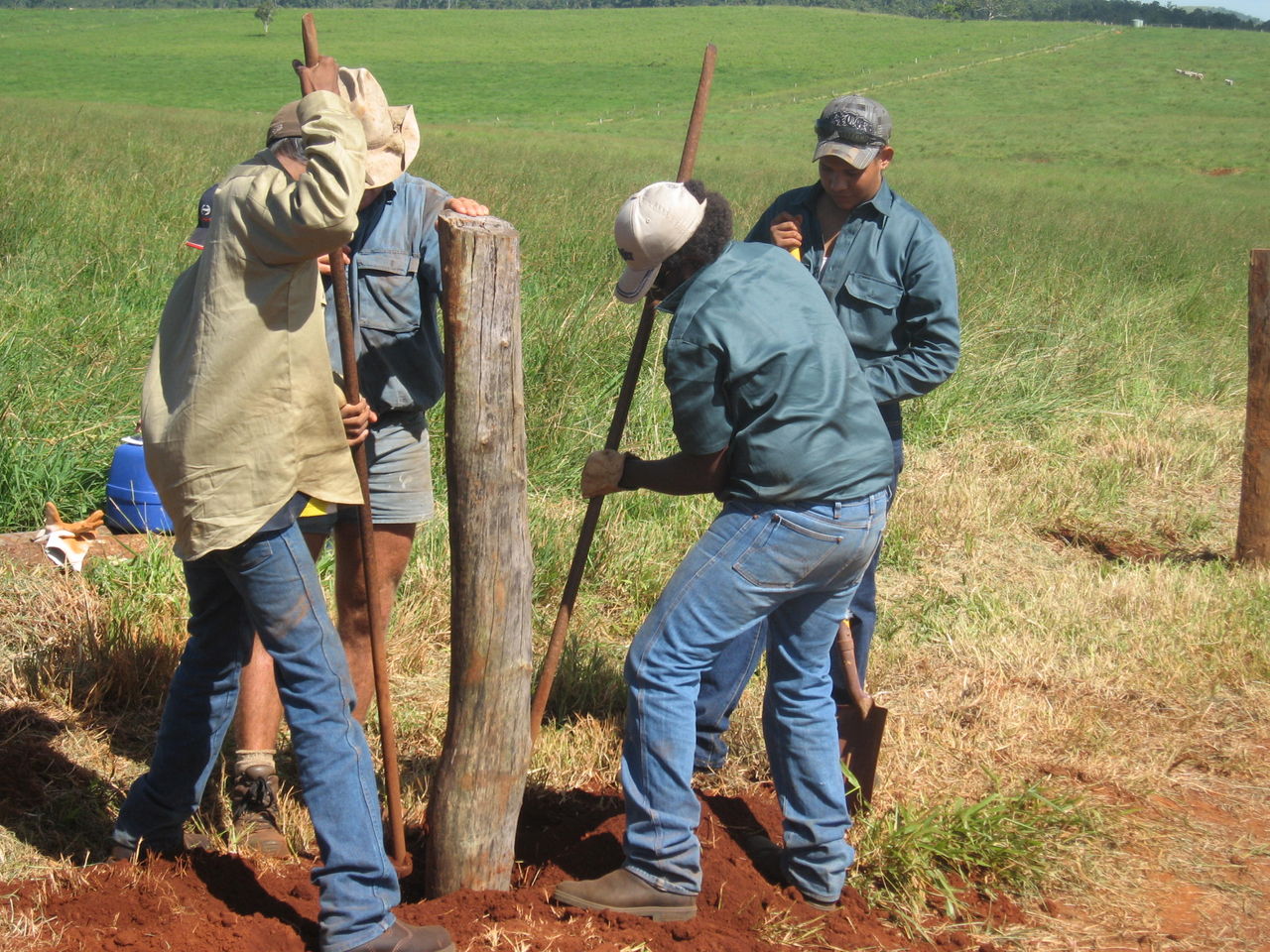 Aboriginal people want to work: survey - ABC News