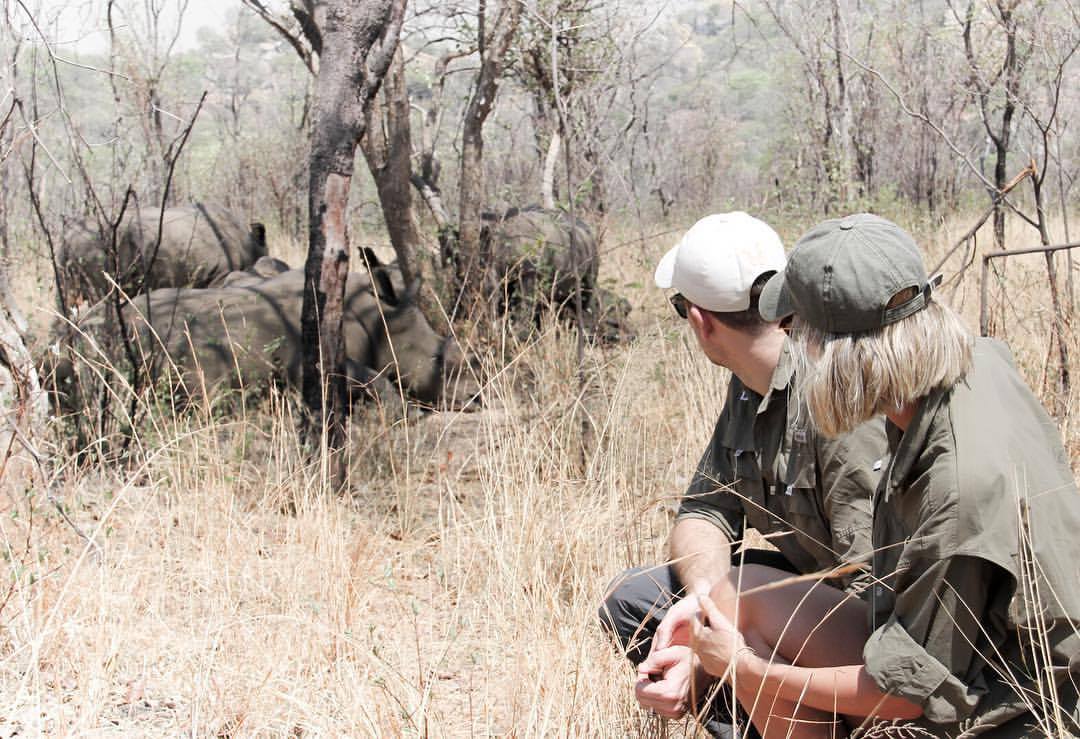 Central Queensland teacher targets African poachers to protect ...