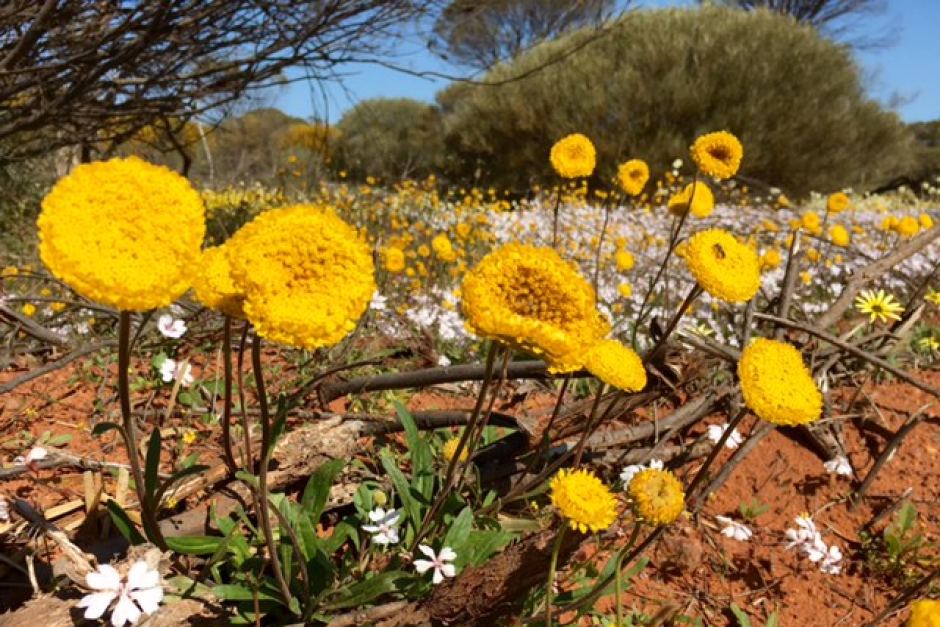 The courage to make a change - ABC Kimberley