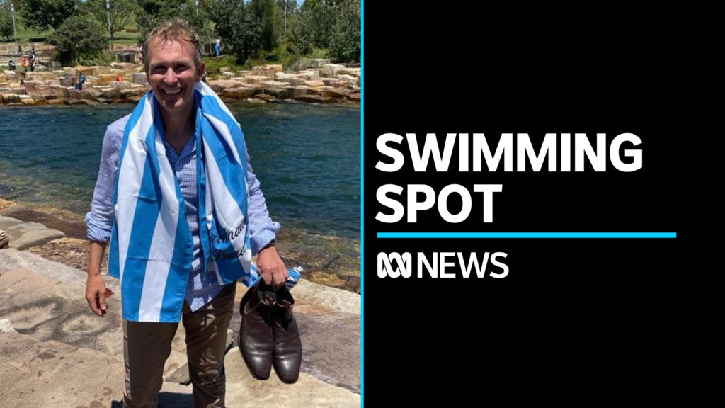 Barangaroo cove opened to Sydney Harbour swimmers - ABC News