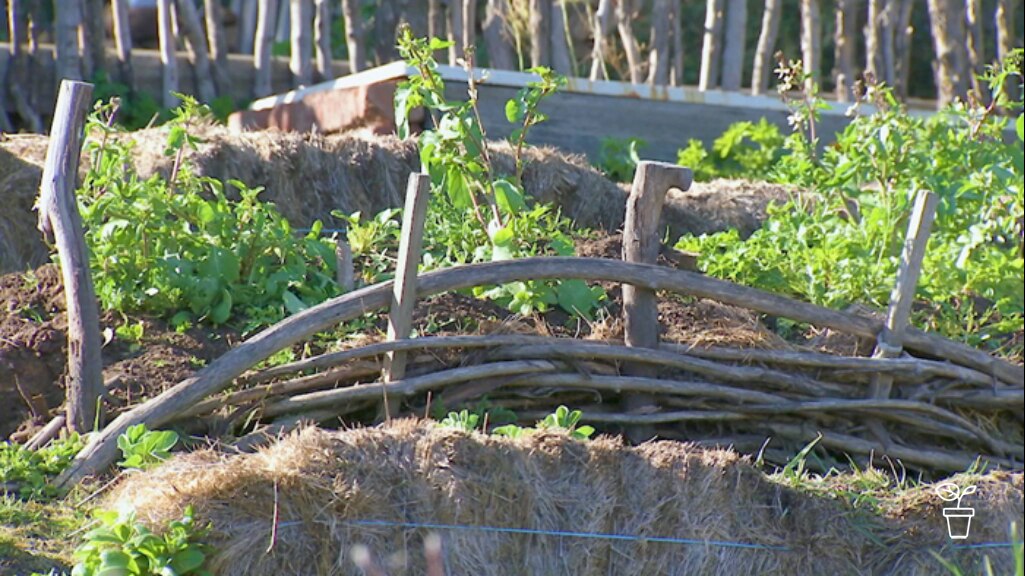 On a Roll - Gardening Australia