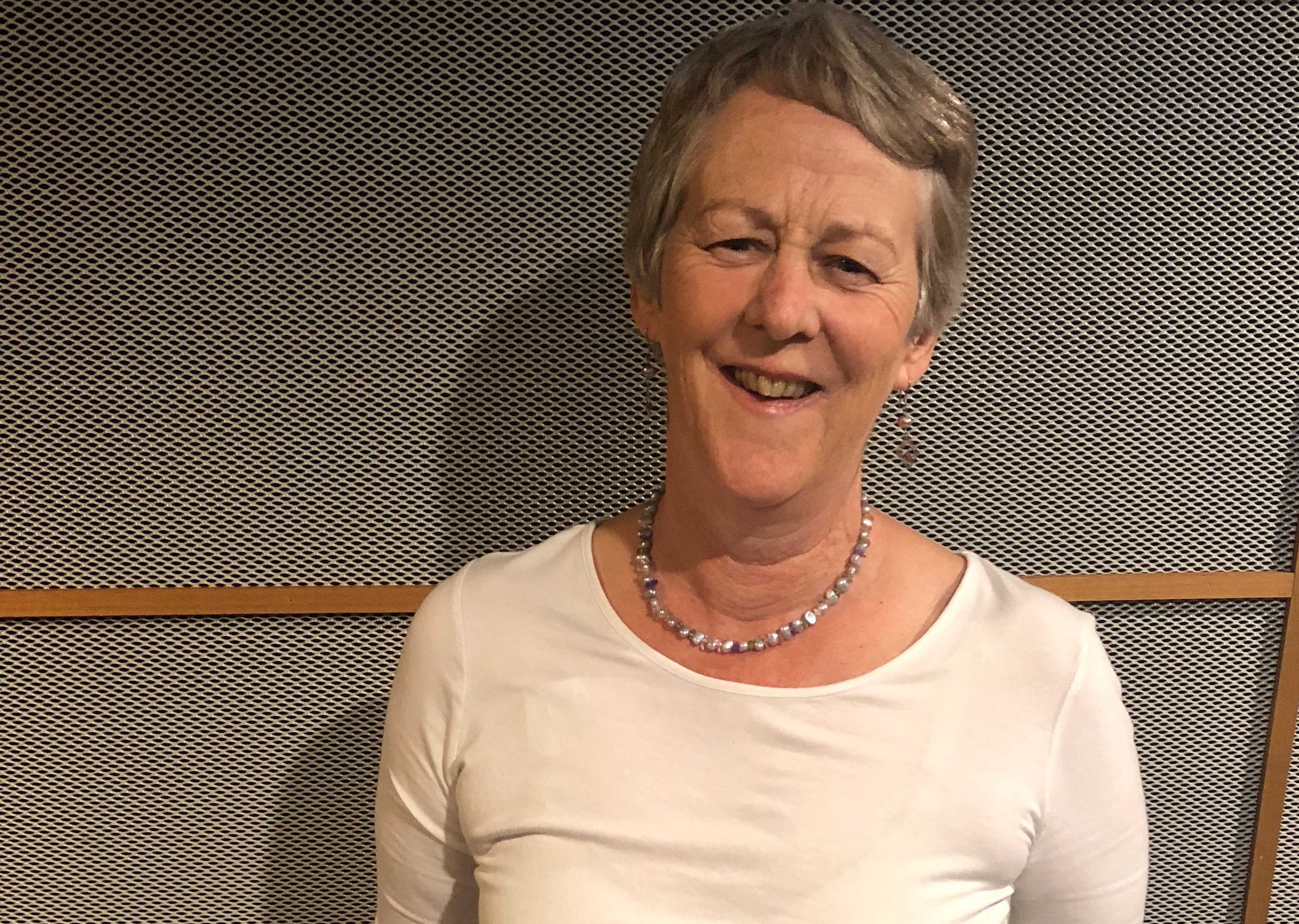 Sandie De Wolf is the CEO of Berry Street - ABC listen