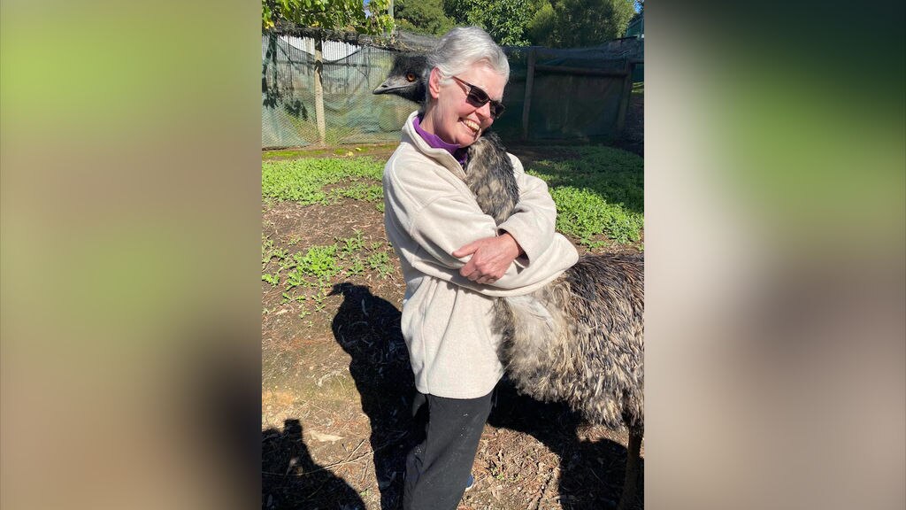 Some of the animals of Minton Farm Native Animal Rescue - ABC News