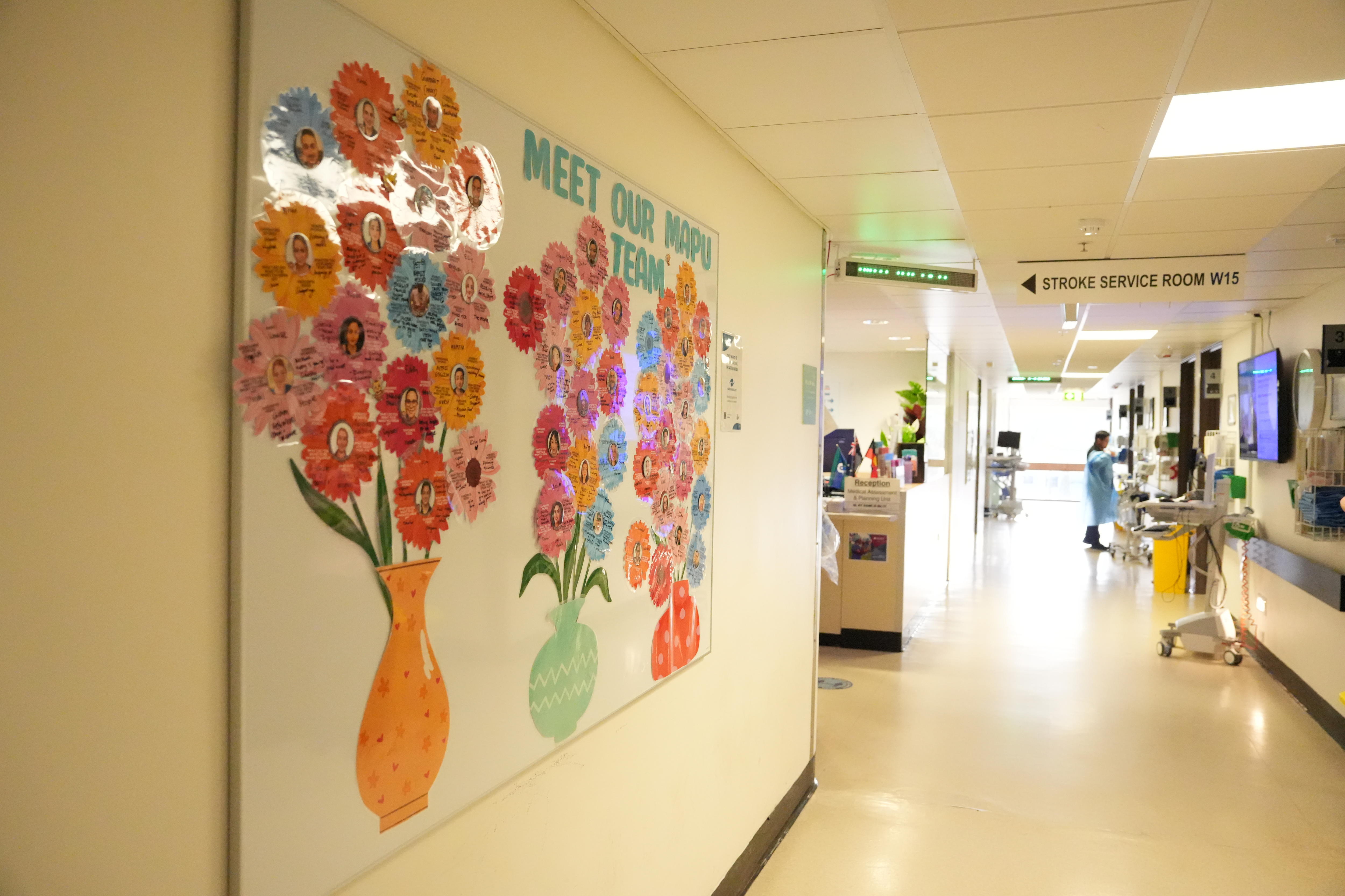 Safewards model of care pilot reduced violence in hospitals — to be ...