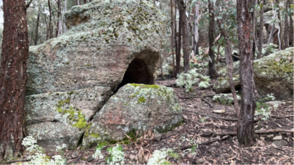 Wiradjuri community devastated by destruction of rock shelter by ACEREZ ...