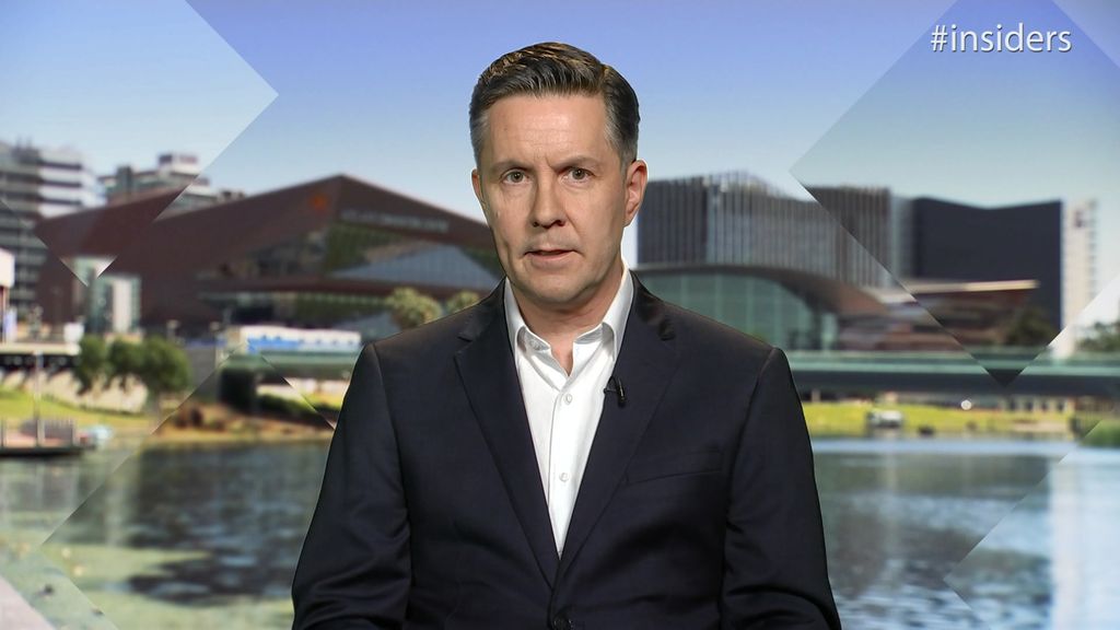 Shadow Health Minister Mark Butler on Insiders - ABC News