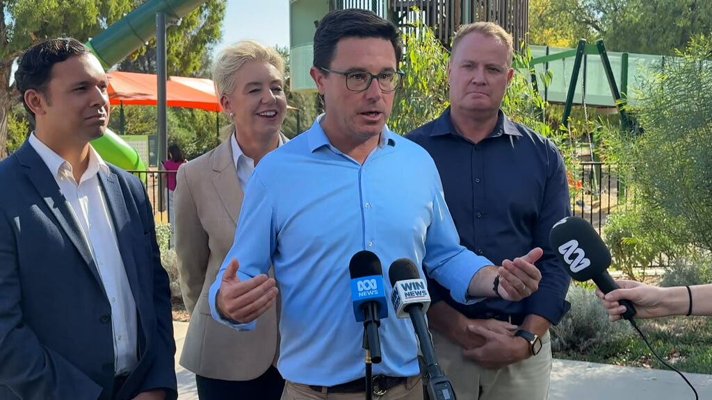 Labor's Lisa Chesters retains Bendigo despite swing towards Nationals ...