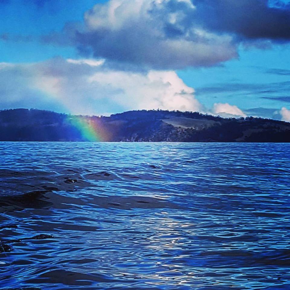 100 Days of Trump: former senator Natasha Stott Despoja joins a Hobart ...