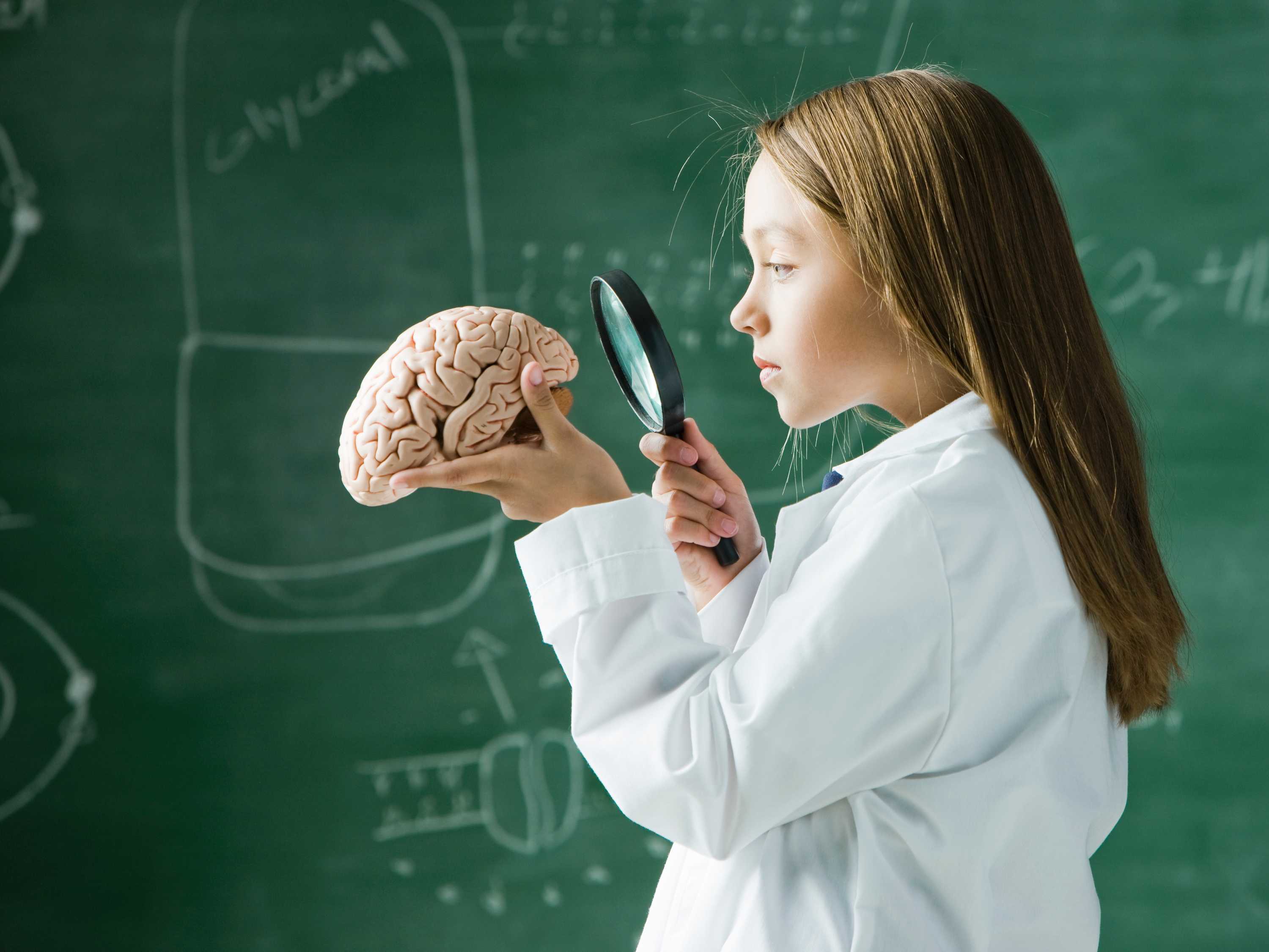 The Gendered Brain - Gina Rippon and myth shattering neuroscience - ABC ...