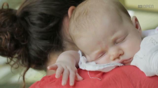 ABC Open: FIFO Christmas - ABC Education