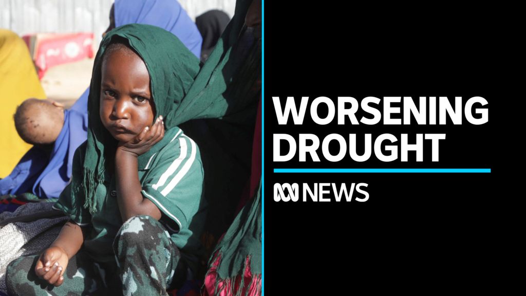 Somalia faces its worst famine in decades as drought deepens - ABC News