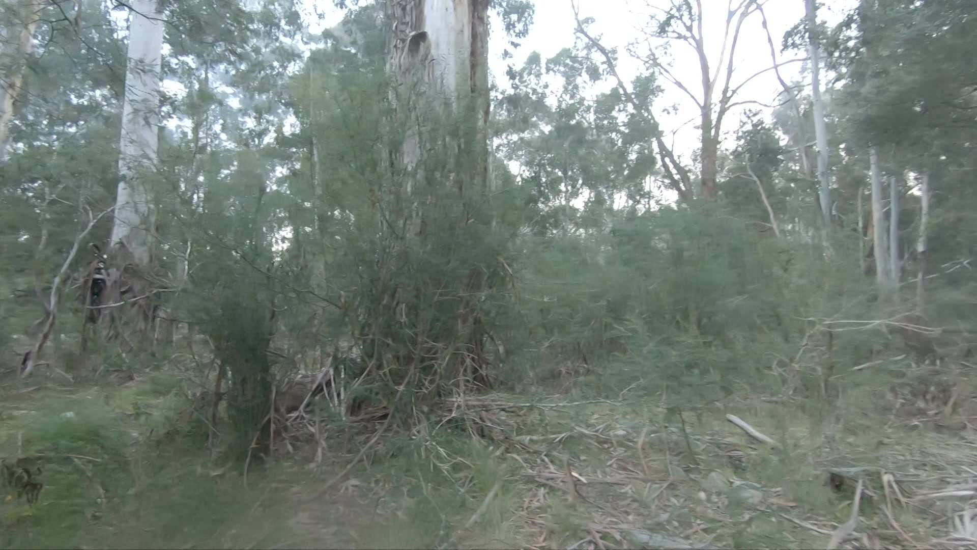 How Russell Hill, Carol Clay, Niels Becker and Conrad Whitlock went ...