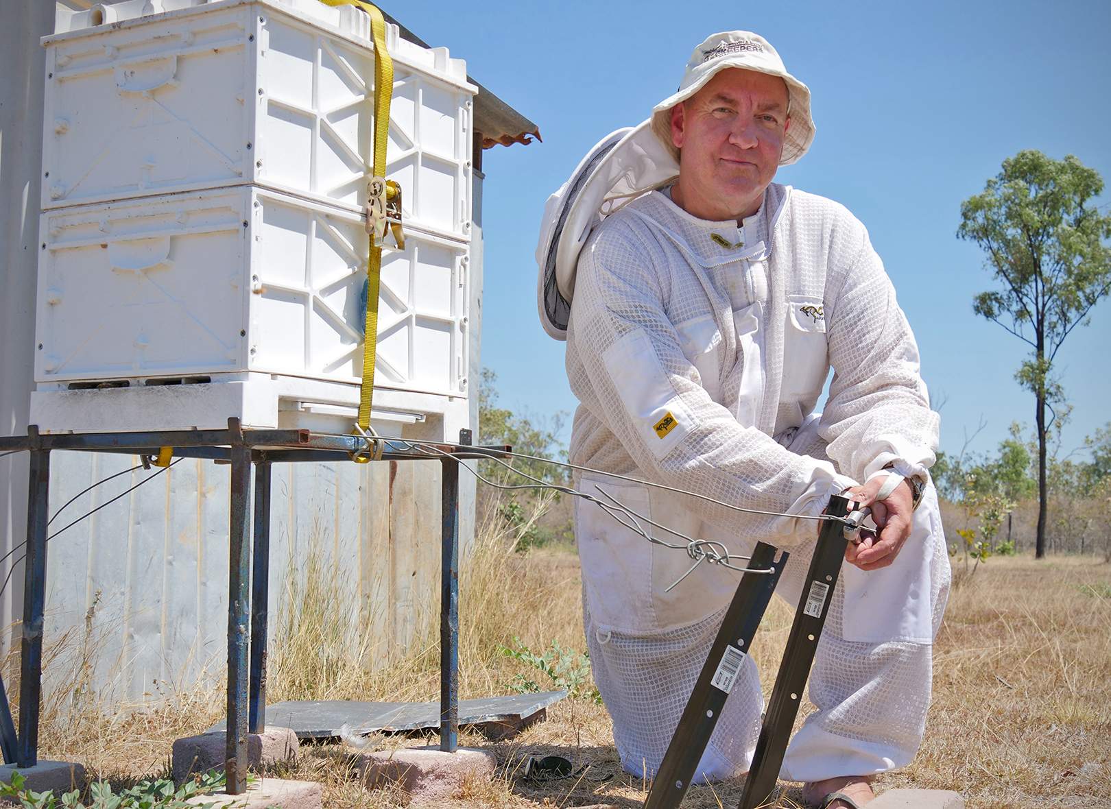 Townsville beekeeper provides tips for keeping bees safe during a storm ...