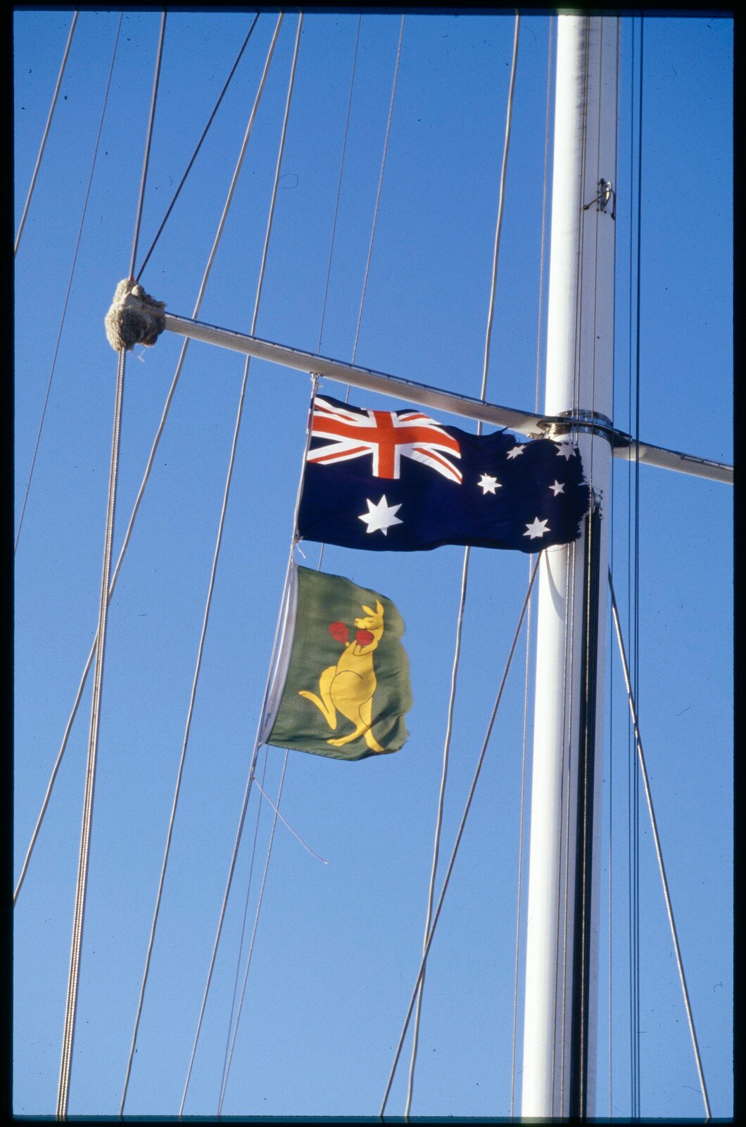 Search for missing America's Cup boxing kangaroo flag yields mystery in ...