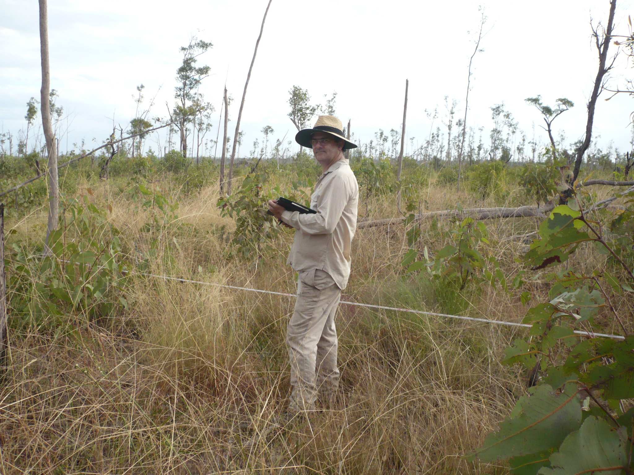 CSIRO's Garry Cook retires after 31 years at the coalface of savanna ...