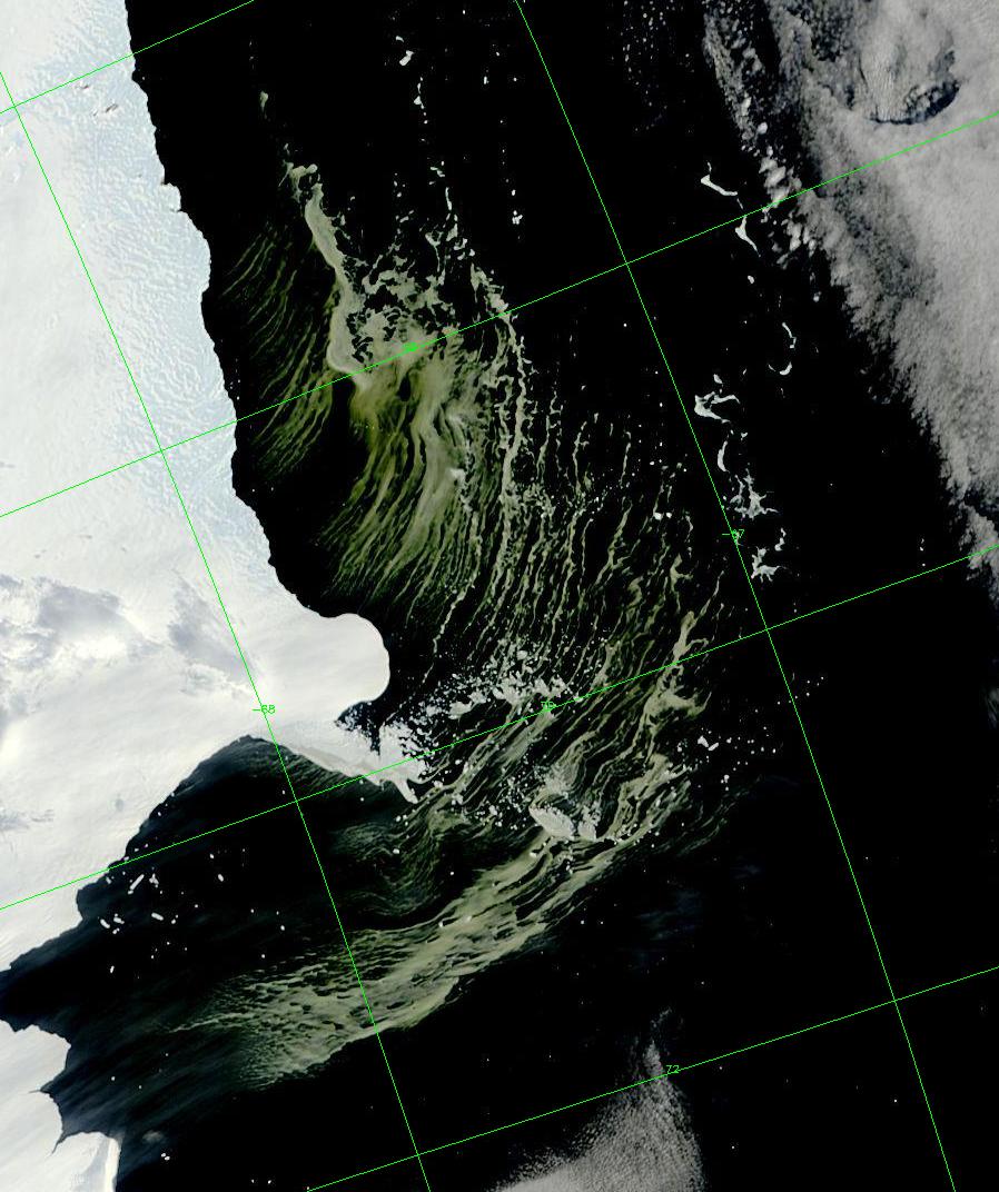 Giant green Antarctic algae visible from space - ABC News