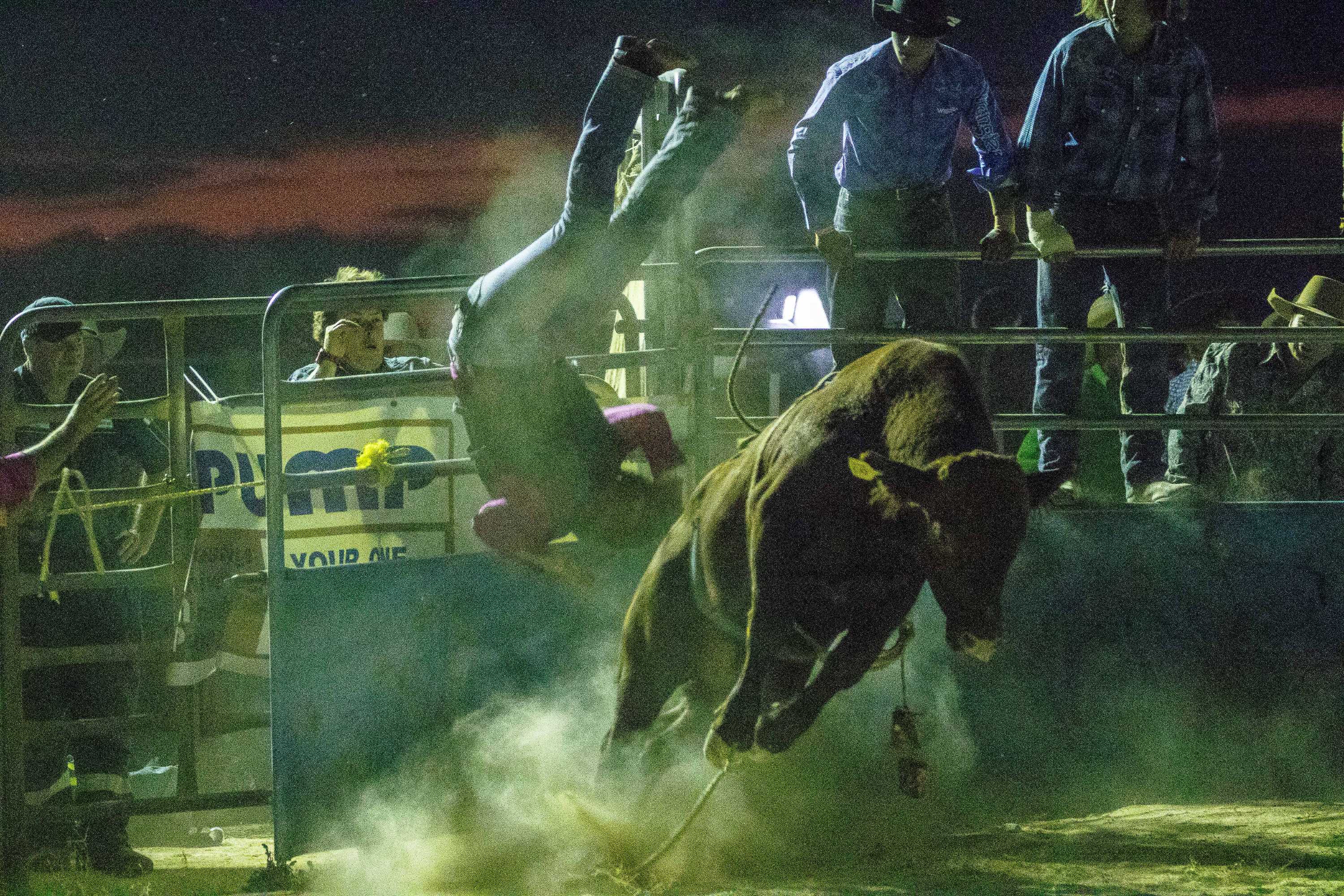 Rodeo rider Jeremiah Day gets crushed by 650kg bull and walks away to ...