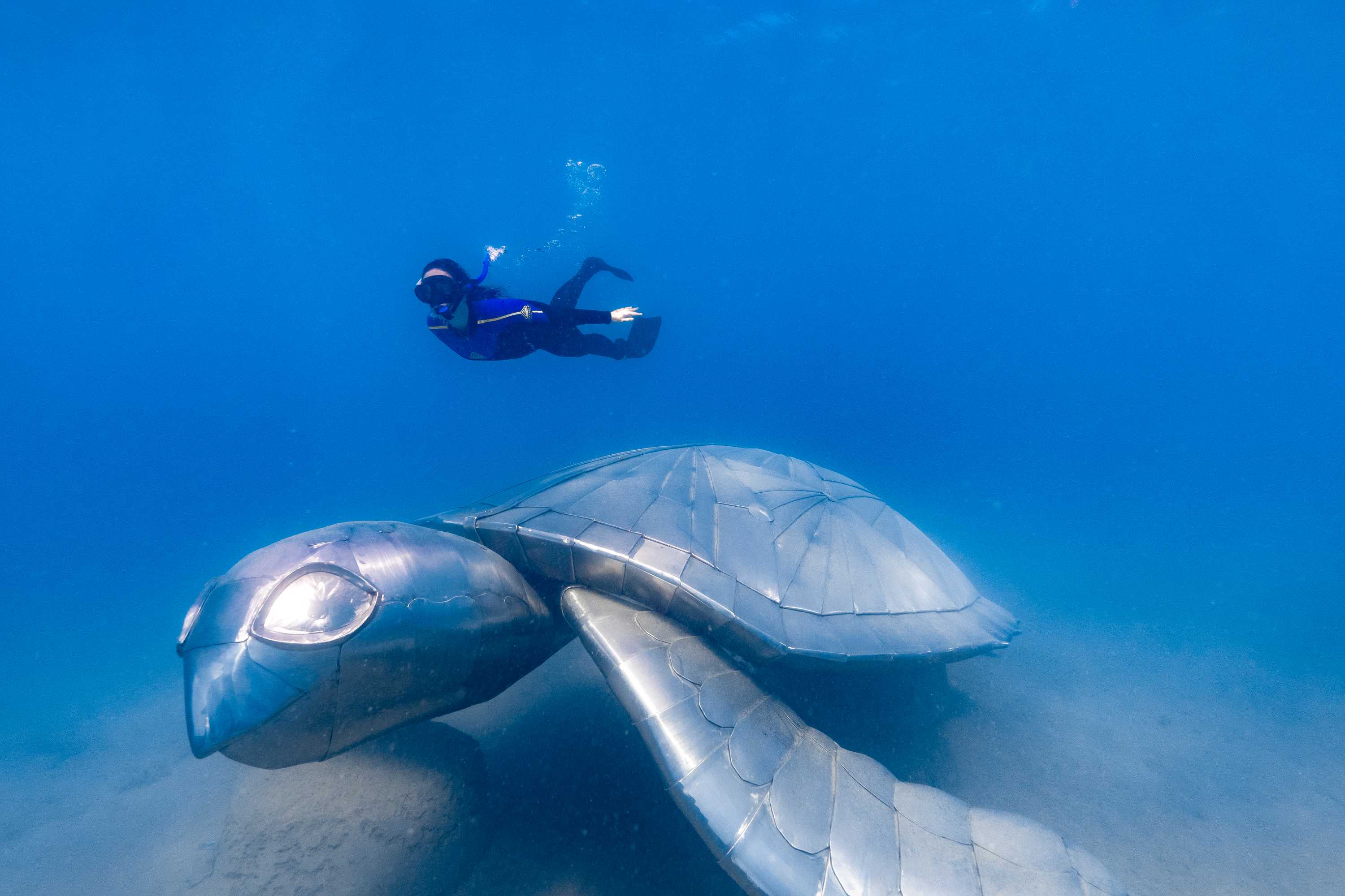 Welcome to Lady Elliot Island — the postcard-sized gem brought back ...