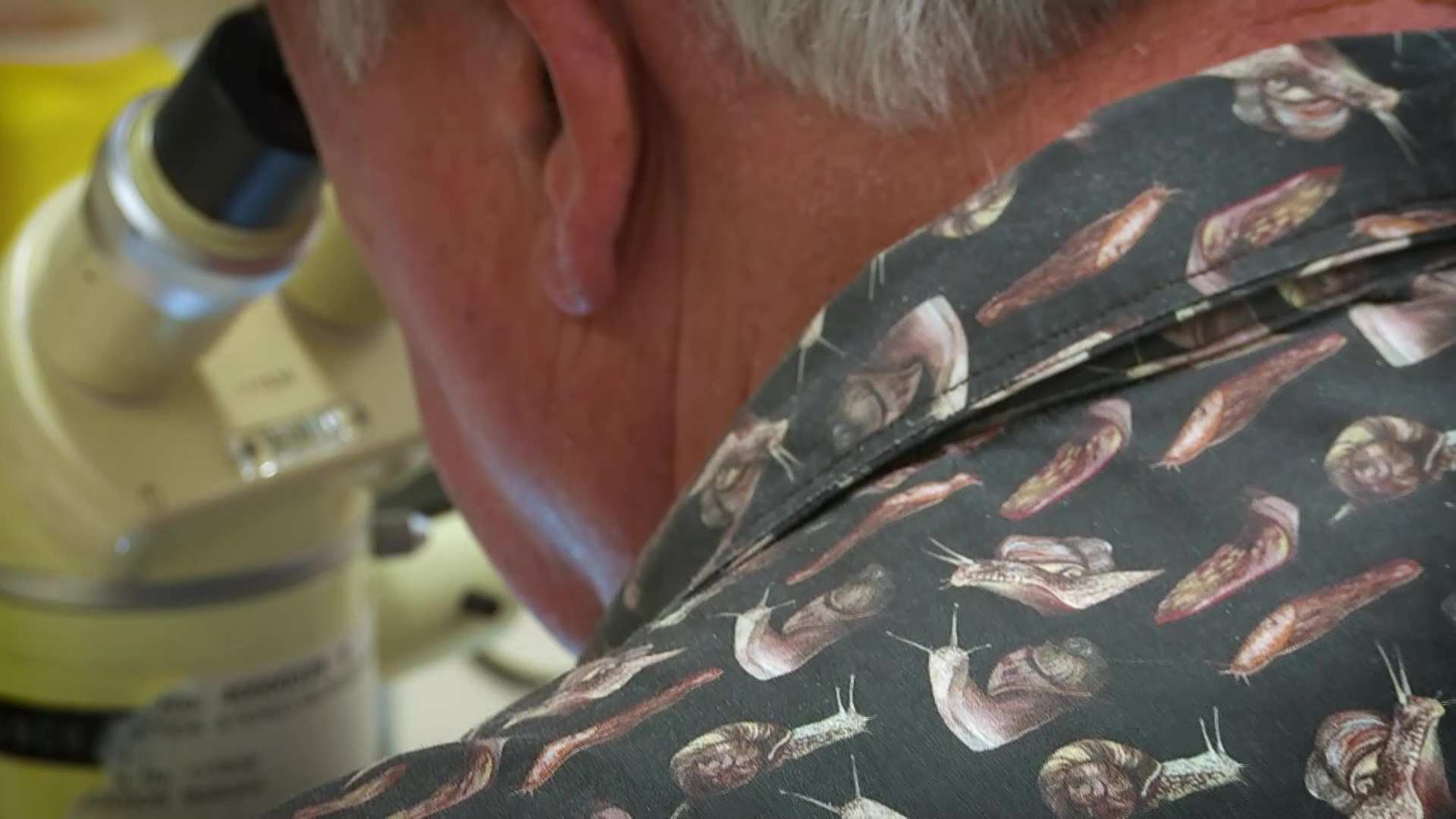 Gardening Australia recap: Backyards are 'flowering their brains out ...