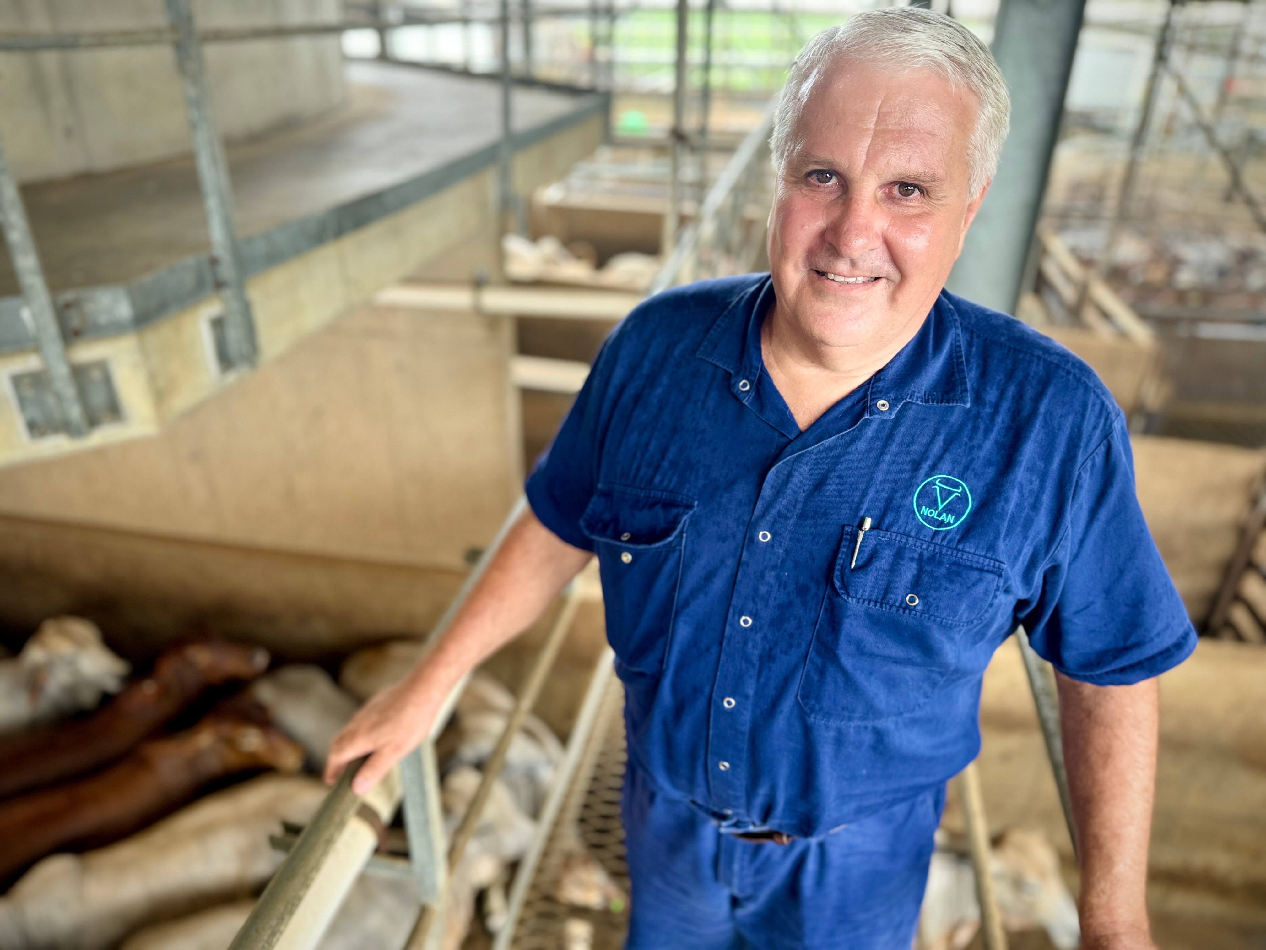 Australian tallow exports exceed $1bn for first time, driven by ...