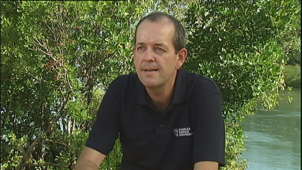 Scientist warns large water allocations could result in fewer fish ...