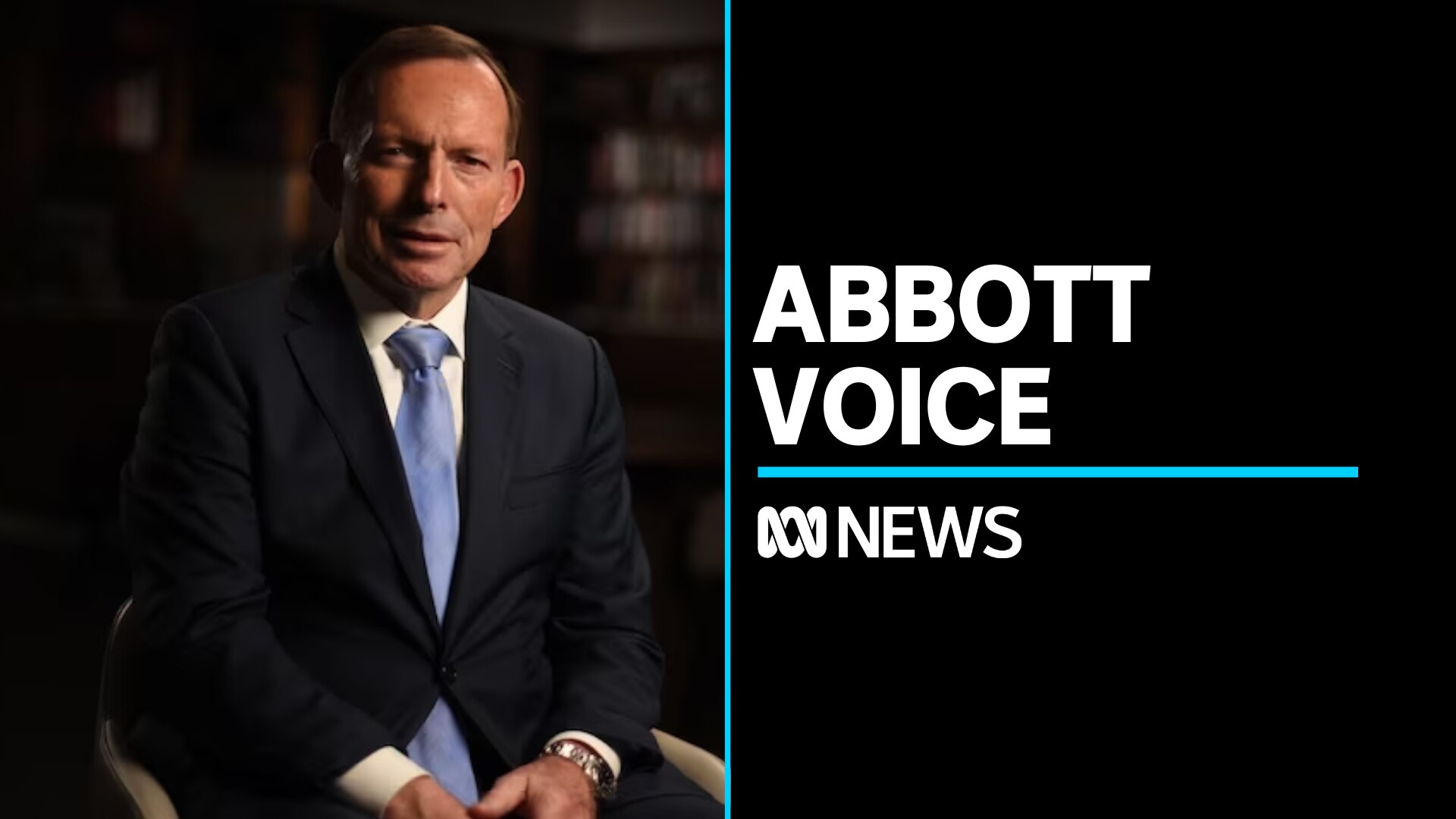 Graeme Innes on welfare reform plan - ABC News