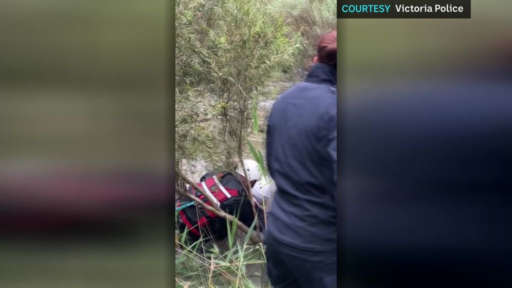 Woman and dog rescued from river following heavy rain - ABC News