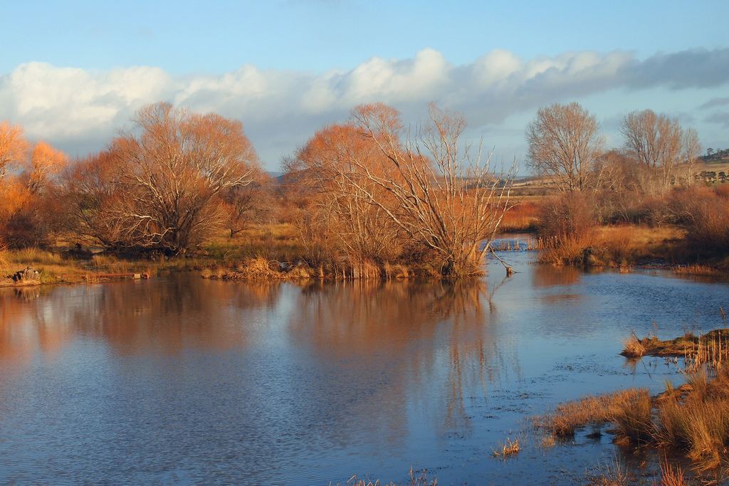 Spot on the Map - Ross, Tasmania - ABC listen