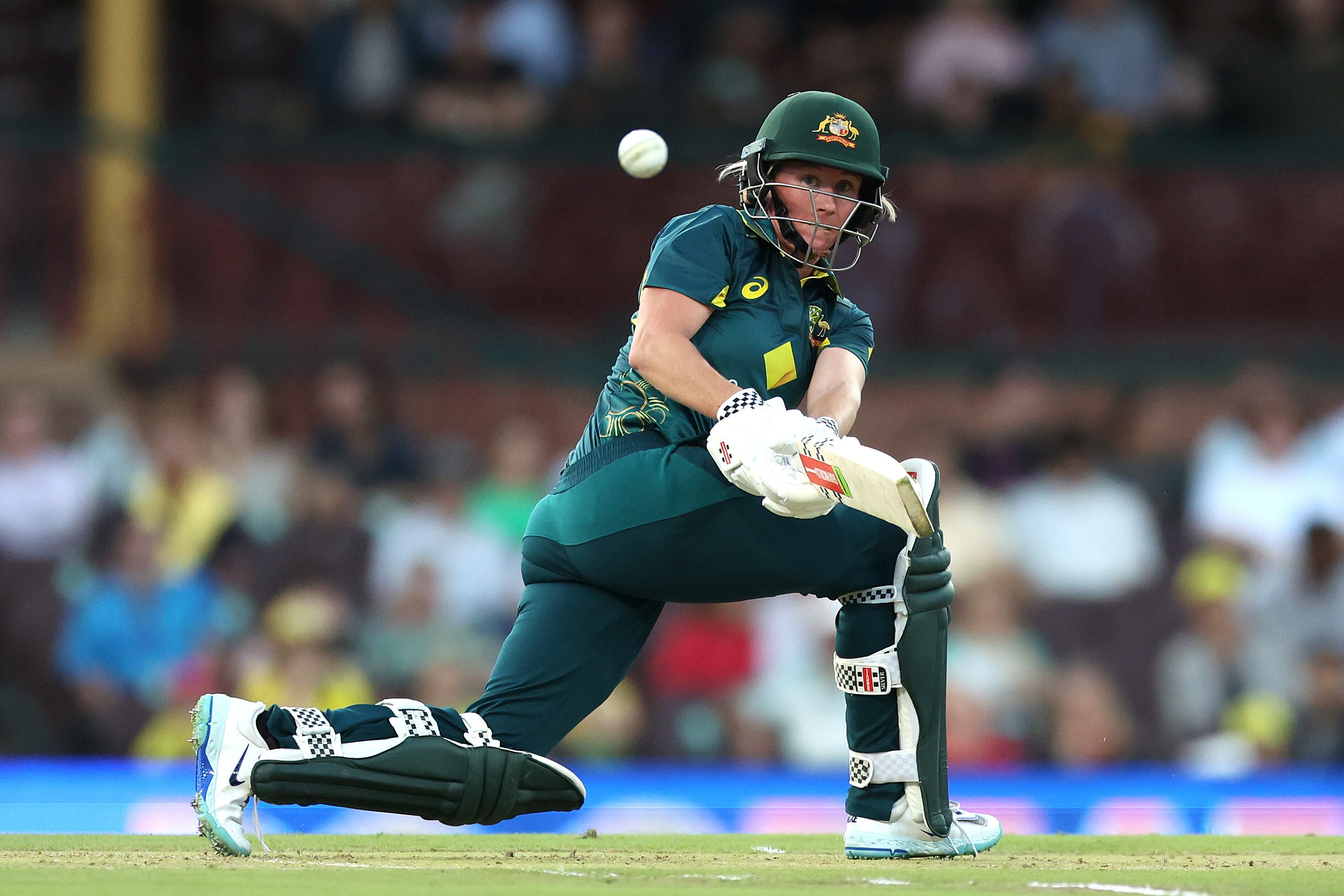 Joe McGuire and James Rendell punt their way to college football glory ...