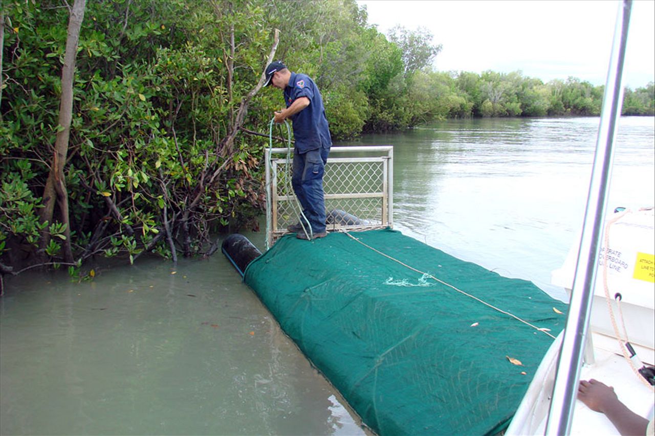 Problem croc eludes Wadeye rangers - ABC News