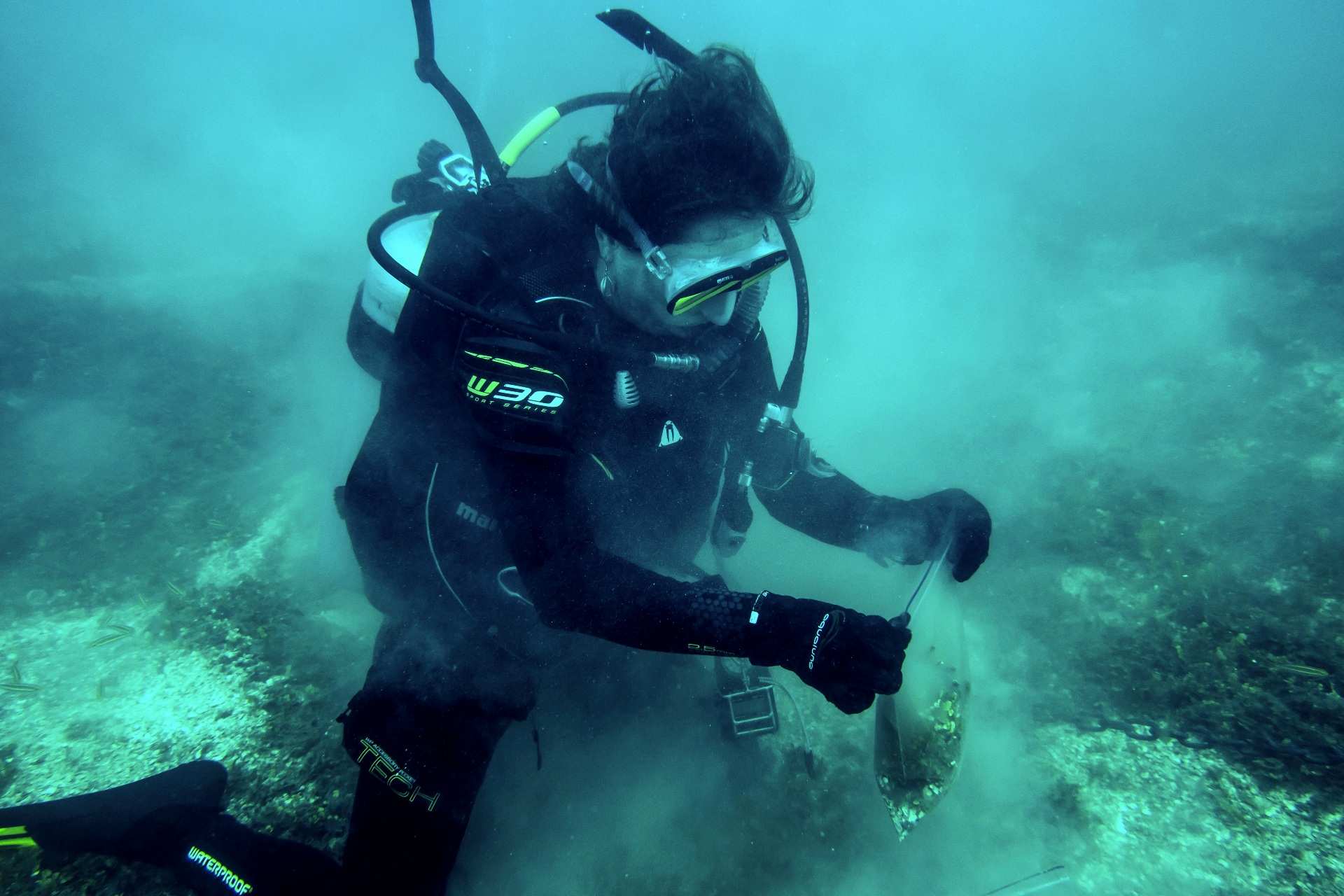 Great Barrier Reef home to giant doughnut-shaped structures with unique ...