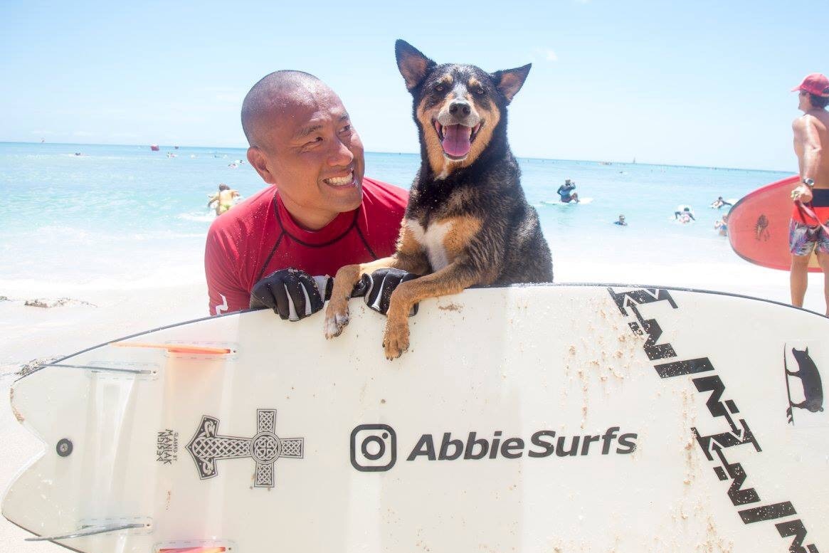 A look inside the surprisingly competitive world of dog surfing - ABC News