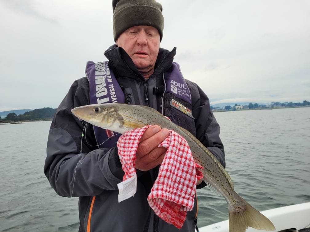 The Big Fish Tassie King George Whiting boom - ABC listen