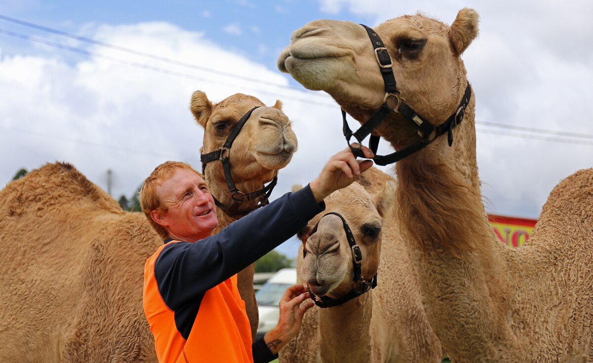 Lennon Bros sets up big top in Lismore, seven years after city bans ...