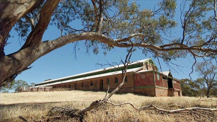 Bold and the Beautiful (Retford Park) - Gardening Australia